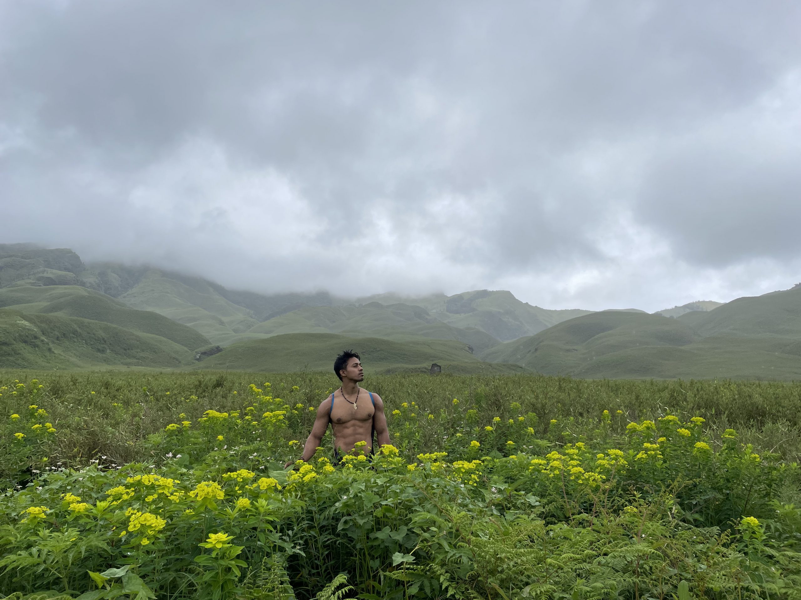 Famous Hornbill Festival And Dzukou Valley Trek In Nagaland | Oddessemania