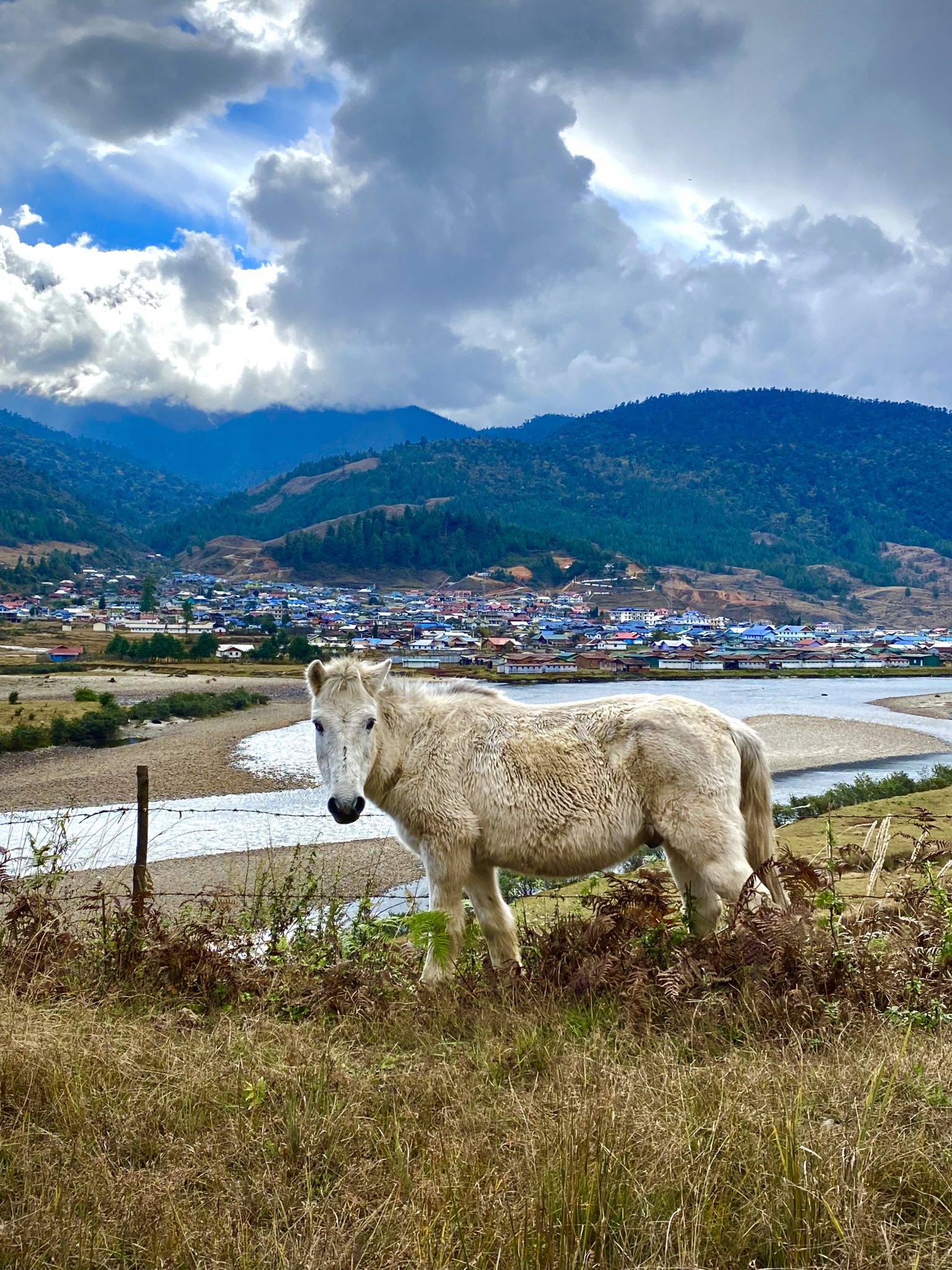 Amazing Mechuka Tour Package (6N / 7D) 17% Off | Oddessemania