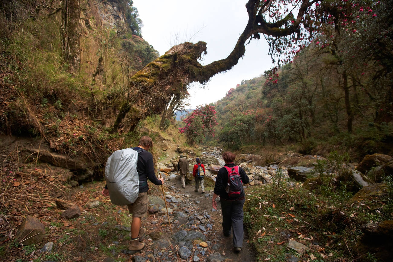 10 Best Trekking Spots In Sikkim | Oddessemania