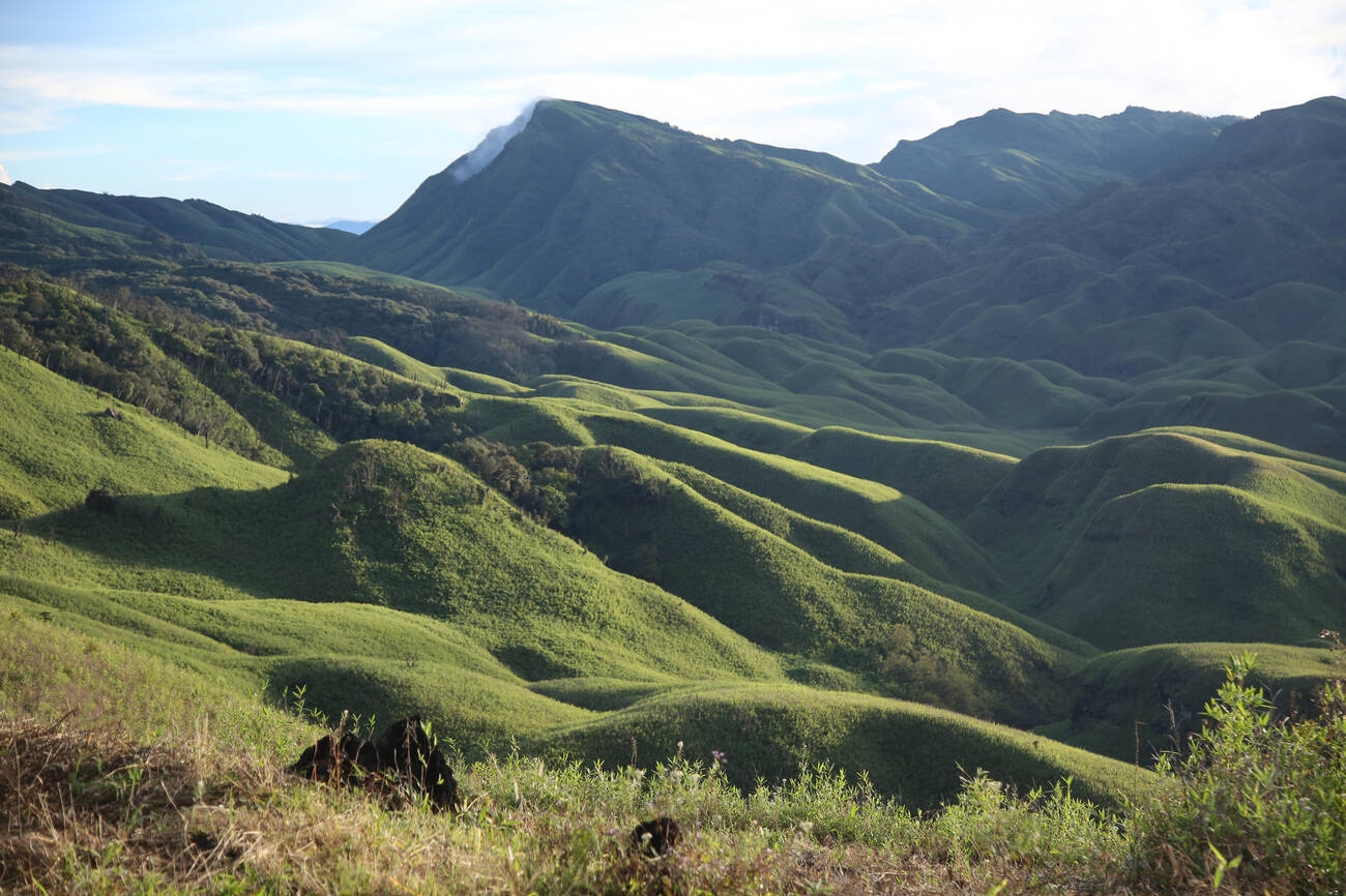 Dzukou Valley Trek Guide - Everything You Need To Know About Amazing ...