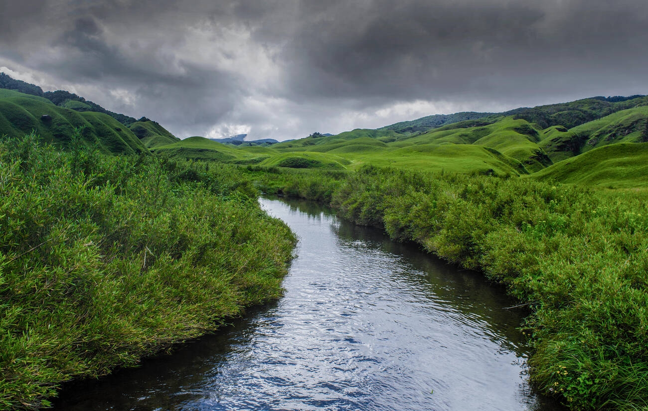 Dzukou Valley Trek: A Guide To Nagaland’s Hidden Valley! | Oddessemania