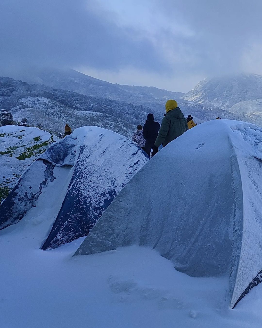 Dzukou Valley Trek Best Time | Oddessemania