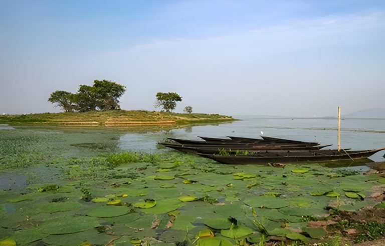 25 Best Places To Visit In Guwahati | Oddessemania