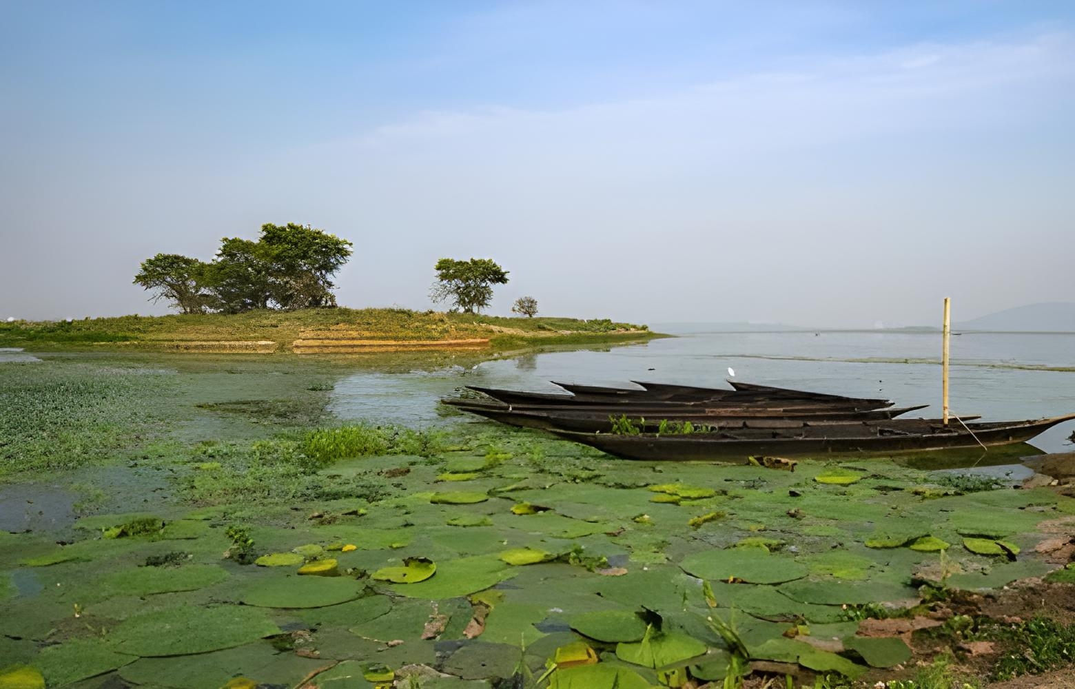 25 Best Places To Visit In Guwahati | Oddessemania