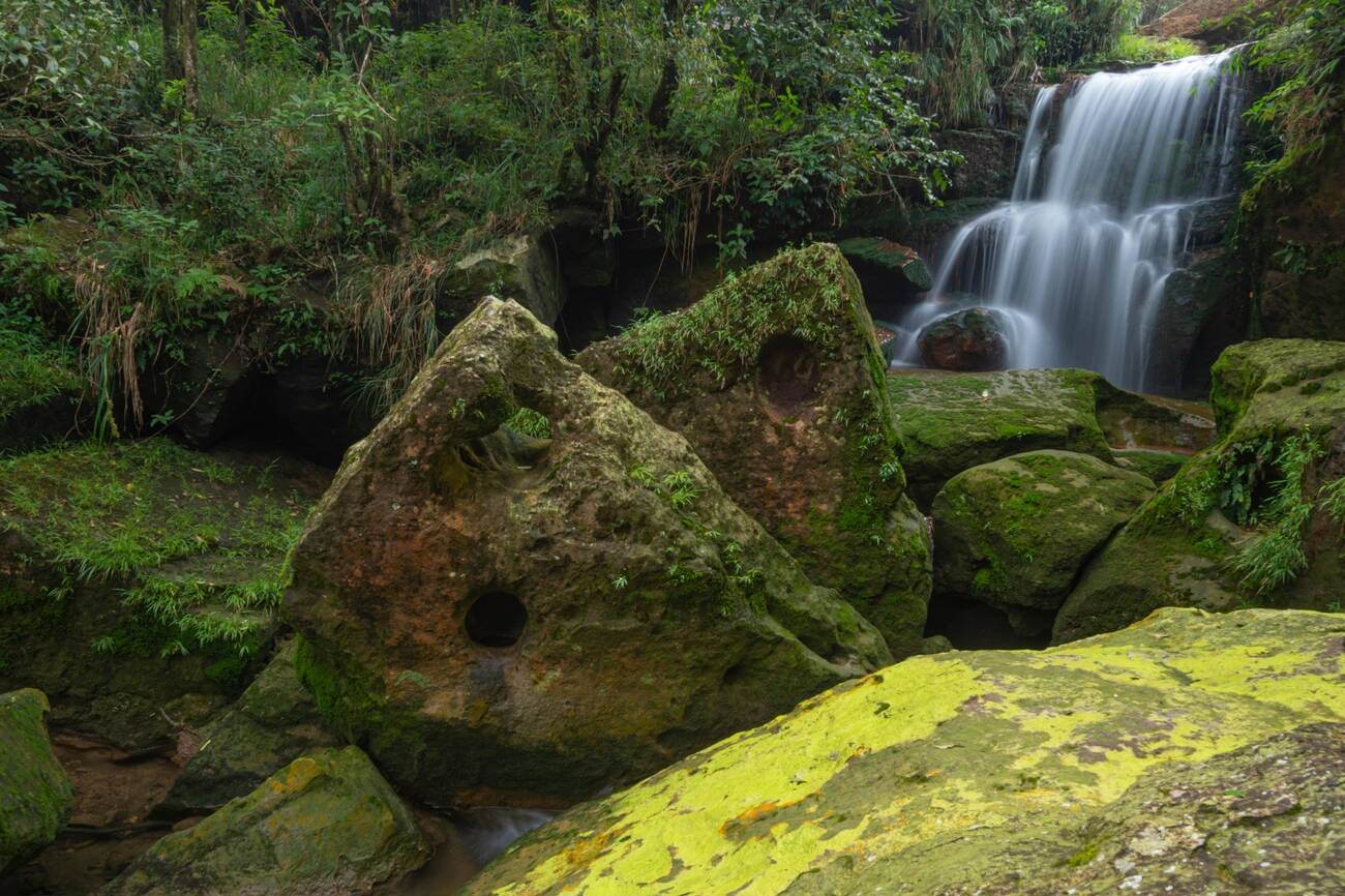 Uncovering The Incredible Garden Of Caves | Oddessemania
